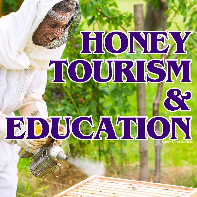 Honey Tourism and Educational Programs – Gypsy Shoals Farm