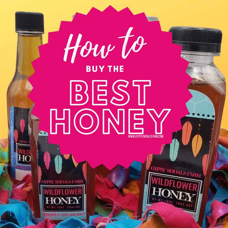 How to Buy the Best Honey – Gypsy Shoals Farm