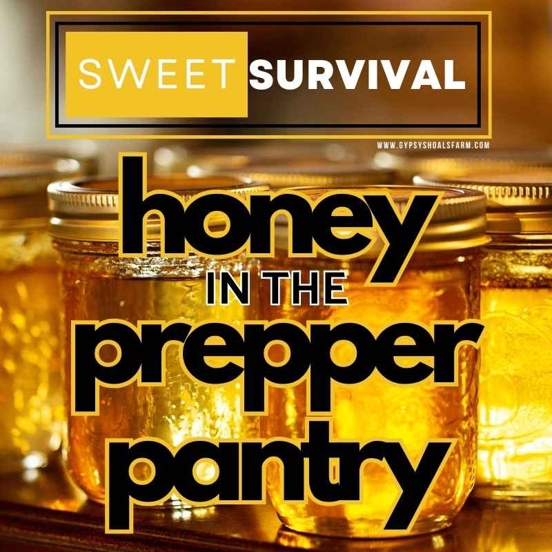 Sweet Survival: The Power of Honey in Prepper Pantries – Gypsy Shoals Farm