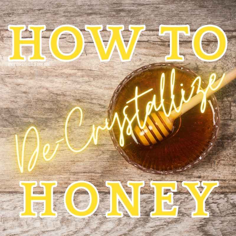 How To De-crystallize Honey – Gypsy Shoals Farm