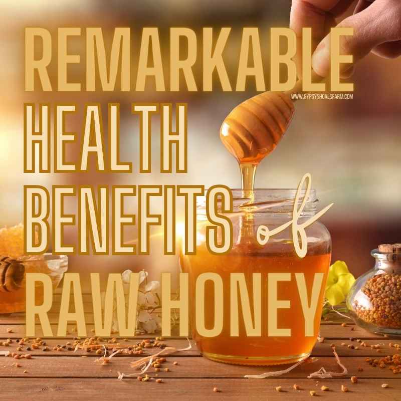 The Remarkable Health Benefits of Raw Honey – Gypsy Shoals Farm