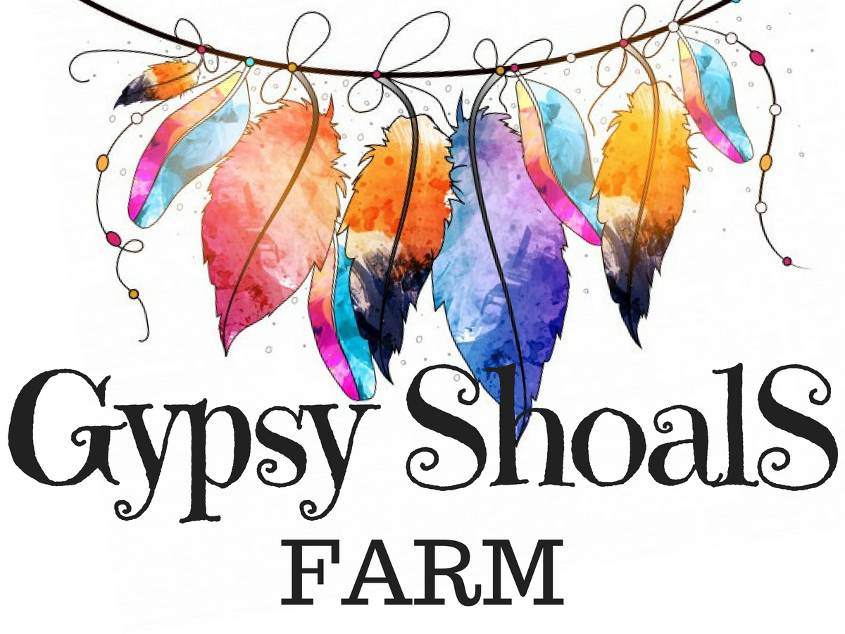 Gypsy Shoals Farm | Apiary Rare Poultry Hatchery and Emu Ranch