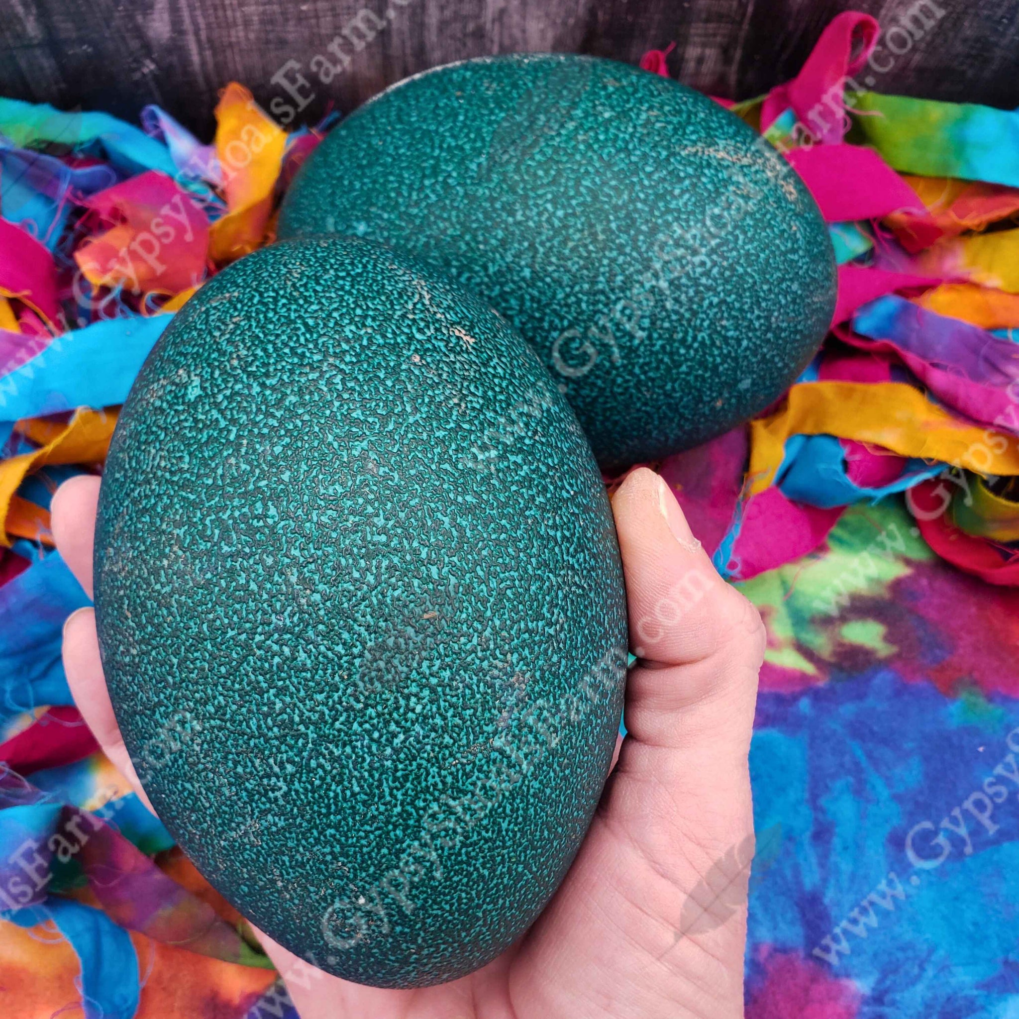 Understanding Emu Egg Variations – Gypsy Shoals Farm