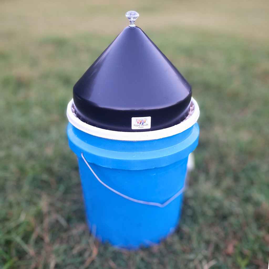 Importance of Vitamin B to Poultry Health and Development – Gypsy ...